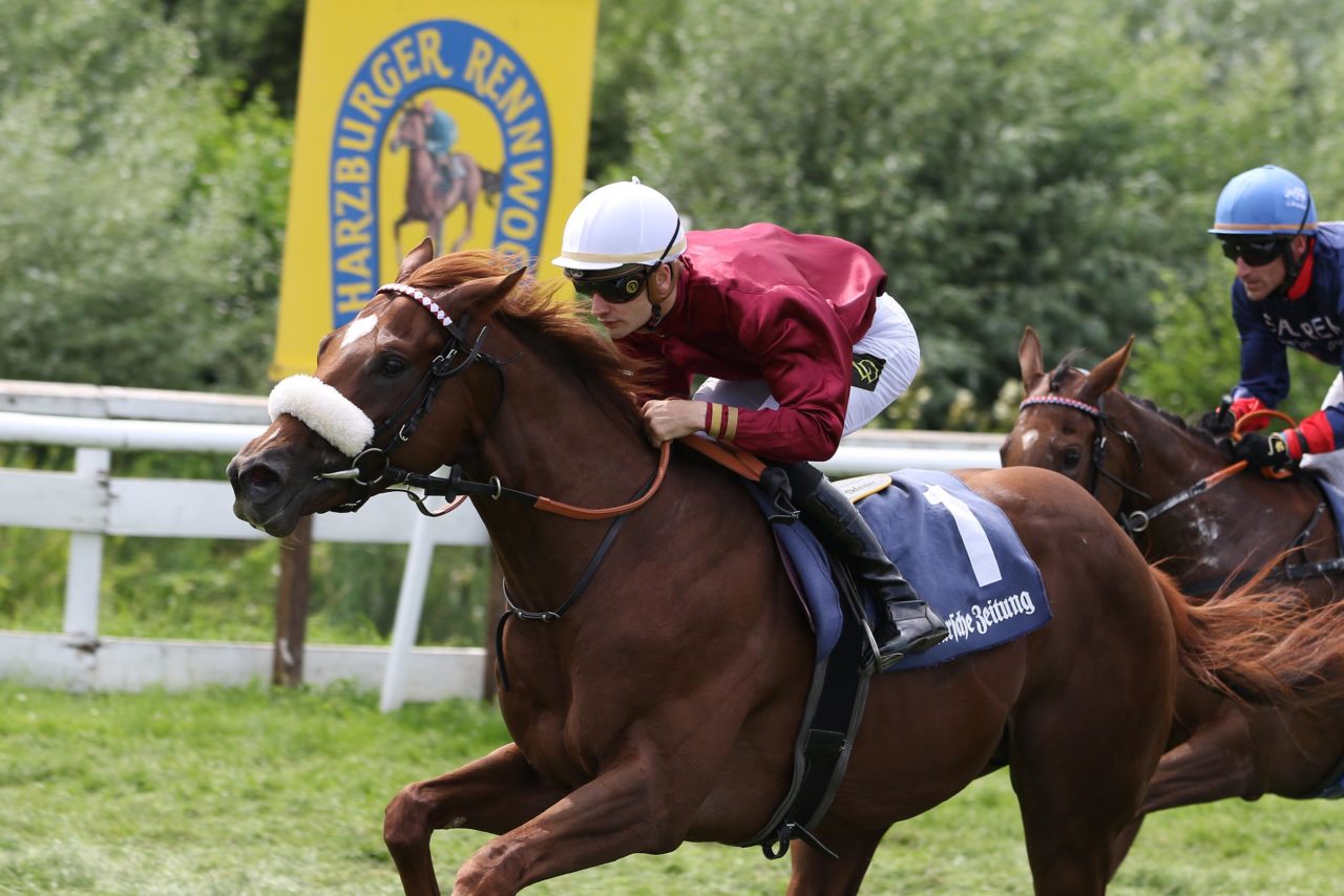 ERSTER UND DRITTER IM BBAG | Rennstall Grewe