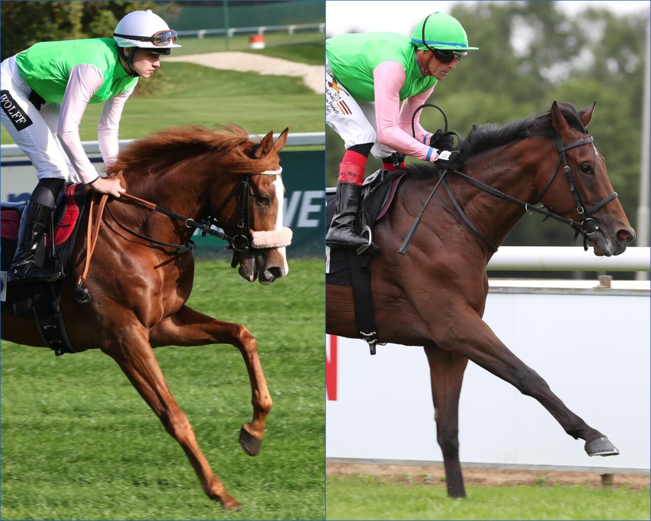 ZWEI DARIUS GOES PORNICHET | Rennstall Grewe